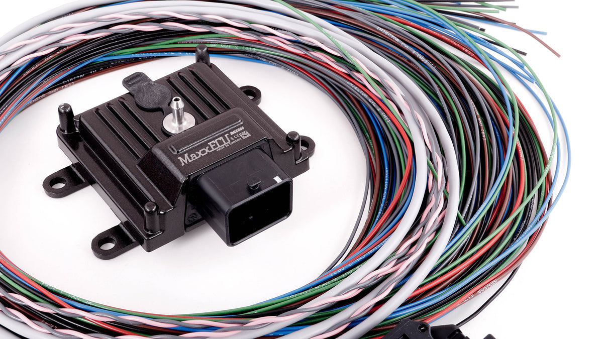 MaxxEcu Mini Standard – Anal-Performance